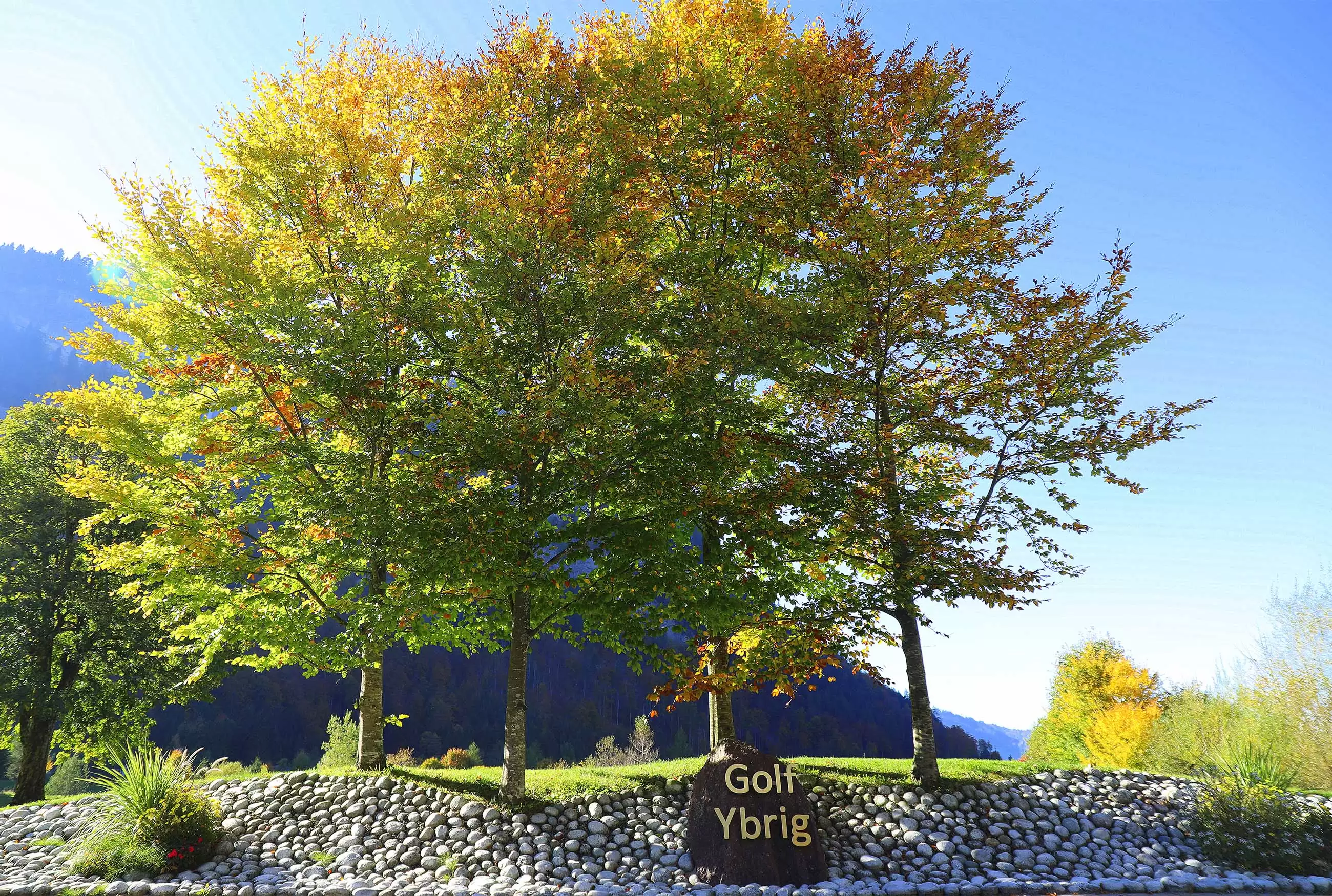Golfclub Ybrig | Herzlich willkommen im Golf Club Ybrig